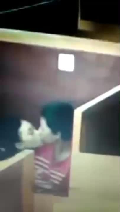 Video Ngintip Di Warnet Sepi Ciuman Dan Ngisep | KingBokep